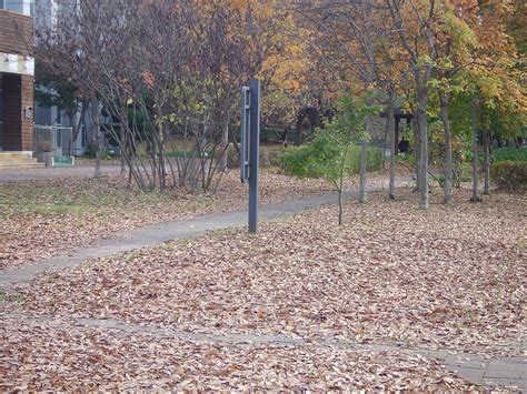 신간회의 민족운동