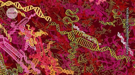 Crispr Genome Editing Grows Up Advanced Therapies Head For The Clinic Dr Mariam Mohamed