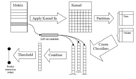 Work Flow Of The Combined Kernel Classifier Download Scientific Diagram