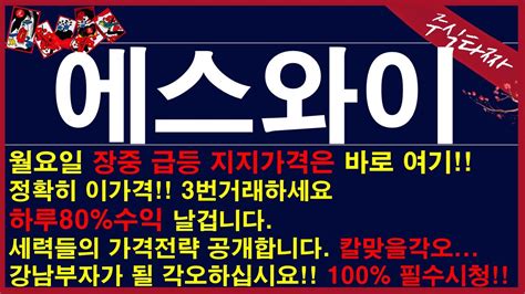 에스와이 쩜상한가시나리오가들어보실랍니까에스와이분석 네옴시티 네옴시티관련주 에스와이주식 에스와이전망 모듈러주택 더블플레이트 초전도체관련주 사우디