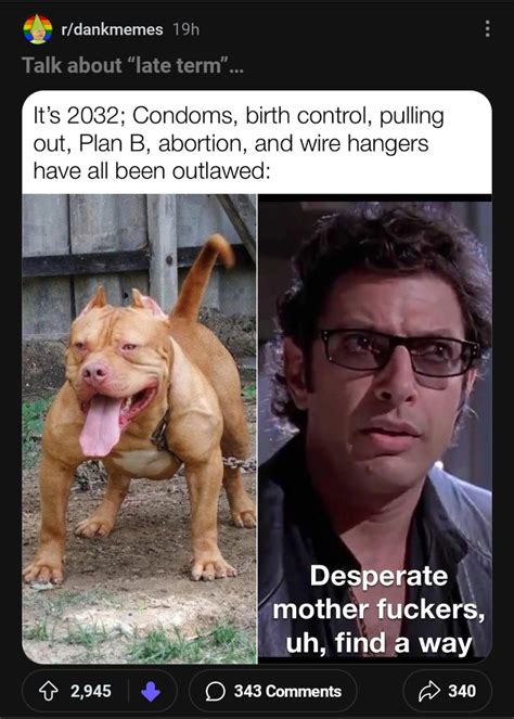 You Seethe Joke Is Sex Rcomedycemetery