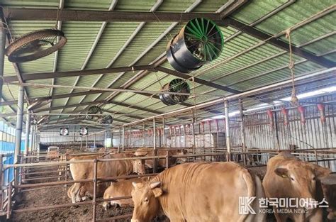 대구농업기술센터 축사 전용 환기팬 설치 지원