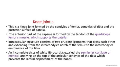 Knee Joint Ppt