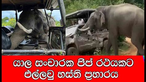 යාල සංචාරක ජීප් රථයකට එල්ලවූ දළ හස්ති ප්‍රහාරයේ සම්පුර්ණ වීඩියෝව Lanka