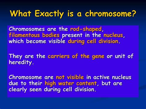Ppt Sex Chromatin Bodies Barr Body Powerpoint Presentation Free Download Id 850138