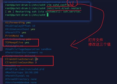 Linux 中使用 Ssh 连接总是隔一段时间就会断开该怎么办？ 设计笔记