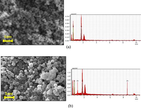 A Sem And Eds Of Sio2 Nanospheres B Sem And Eds Of Sio2zno Cs