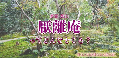 2024厭離庵の入り口はどこ予約は必要特別公開期間見どころ拝観料などを徹底紹介