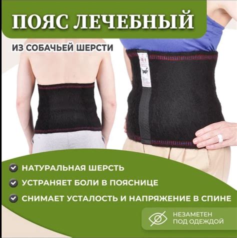 Пояс для перемещения Лечебные пояс для спины из собачьей шерсти ...