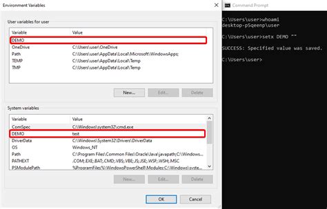 Wacky Windows Environment Variables