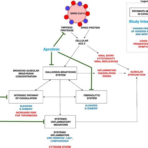 Effect Of The Investigated Drugs On The Pathways That Are Implicated In