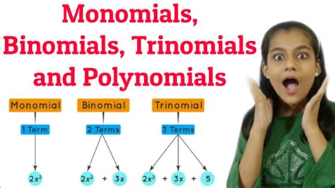 Monomials Binomials Trinomials And Polynomials In Algebra Algebraic