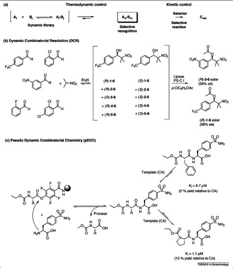 Dynamic Combinatorial Resolution Dcr And Pseudo Dynamic Combinatorial