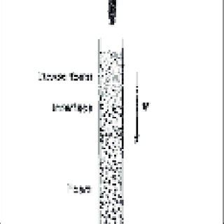 PDF The Physics Of Foam Drainage