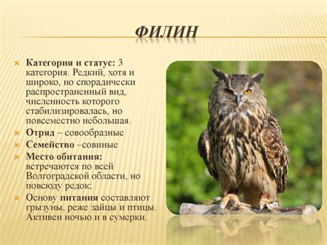 Птицы Волгоградской области занесенные в Красную книгу презентация онлайн