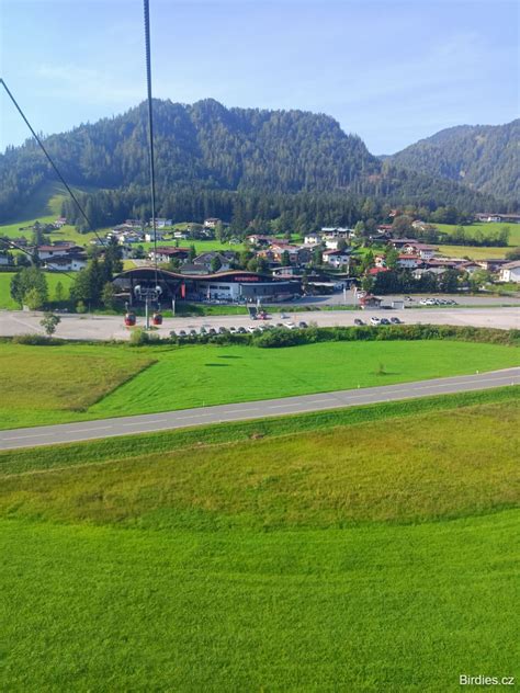 S Dětmi Za Dinosaury Objevte Triassic Park Birdiescz