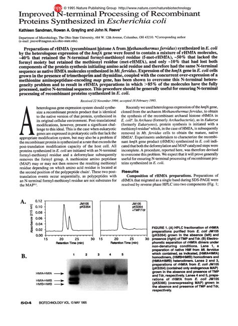 Pdf Improved N Terminal Processing Of Recombinant Proteins Synthesized In Escherichia Coli