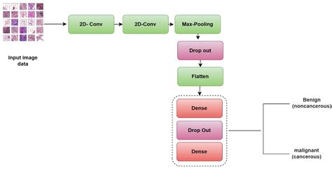 Detection And Classification Of Histopathological Breast Images Using A Fusion Of Cnn Frameworks