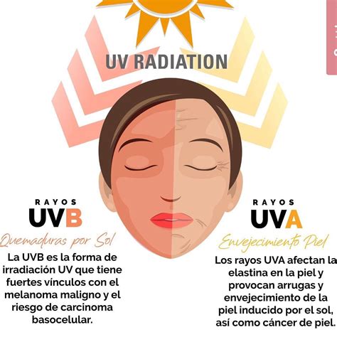 Diferencias Entre Los Rayos Uva Y Uvb Blog De Salud Para 51 Off