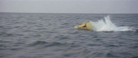 Jaaws 1975 Fuull Mov Vie Eporner