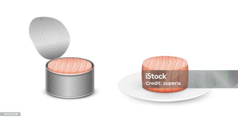 금속 캔 또는 접시에 통조림 참치 샐러드 또는 요리 요리를 위해 조리 된 생선 고기 맛있는 재료 캔에 대한 스톡 벡터 아트 및 기타 이미지 Istock