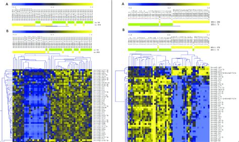 Unsupervised A And Supervised B Hierarchical Clustering Analysis