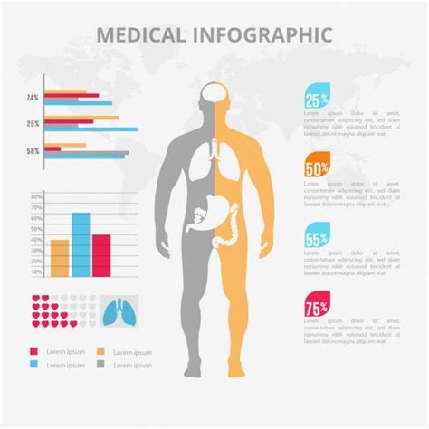 평면 의료 인포 그래픽 Eps Uidownload