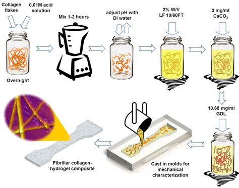 Alginate Collagen Fibril Composite Hydrogel