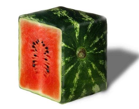 What Your Vagina Shape And Size Says About Your Personality And Sex Life YourTango