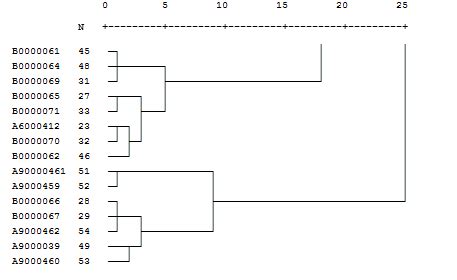 A Dendrogram On The Base Of The Average Intergroup Distances For IV And