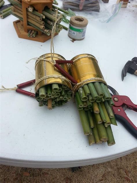 Construct A Stem Bundle Native Bee Citzen Science Program Planet Bee