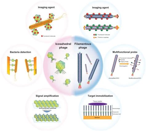 Biotechnology Structure And Function Current