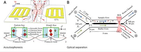 Figure 1 From Microfluidic Single Cell Analysis Toward Integration And Total On Chip Analysis