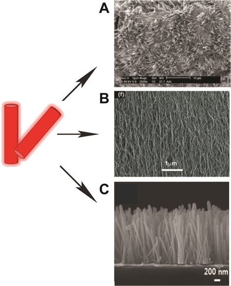 1d Nanostructure Based A Polyprrole Nanowires B Cnts And C Zno Download Scientific
