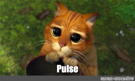 Meme Pulse All Templates Meme