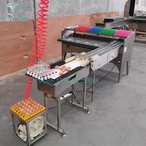 Buy Newest Egg Weight Graderegg Classifier Machine With Vacuum Egg Suction Device And