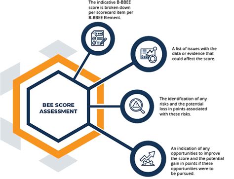 B Bbee Score Assessment Know Your B Bbee Position