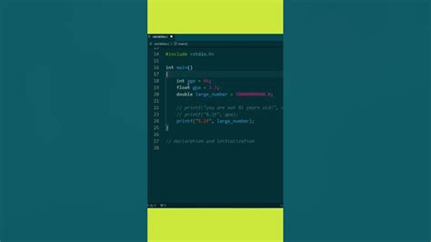 Double Data Type Clanguage Codinginc Coding Programming Variables