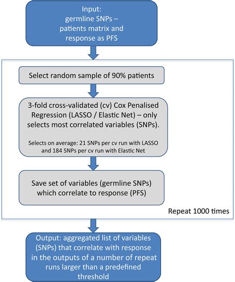Work Flow Describing Feature Selection Via Repeated Penalized Regression Download Scientific