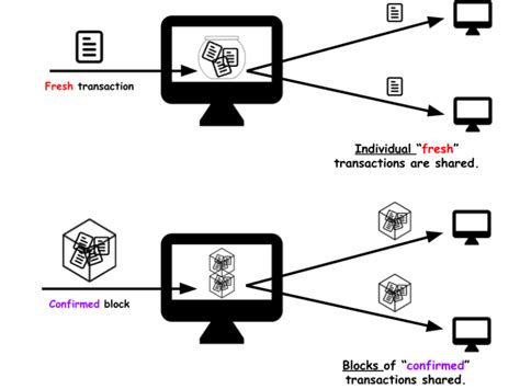 what is a bitcoin node
