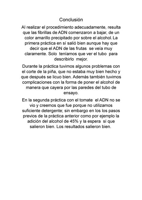 Informe De Practicas De Laboratorio Quimica