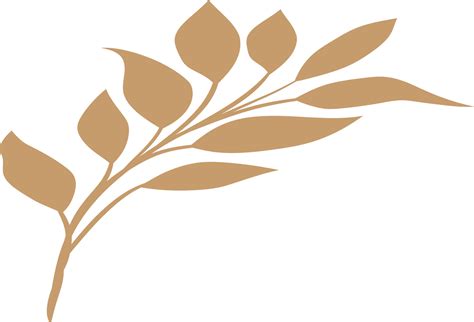 Dry Leaves Vector Illustration Plant Forest Tree Natural Brown