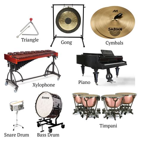 Percussion Instruments Pictures And Names