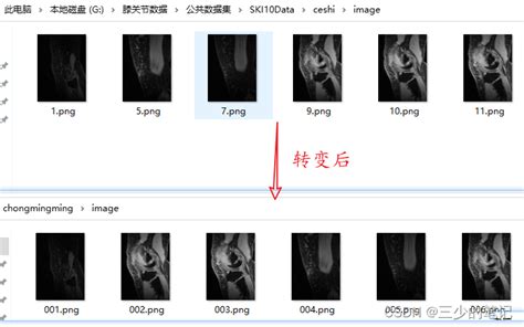 Matlab 当image和label成对出现时，更改文件名使其变成有序的image Label List文件 Csdn博客
