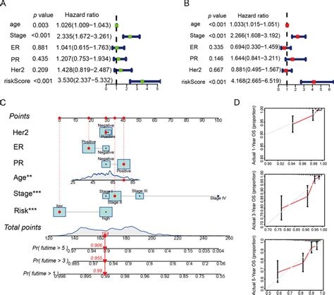 Prognostic Model Based On Nomogram To Foresee The Survival Of Brca Download Scientific Diagram