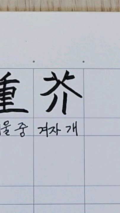 천자문손글씨 겨자 개 손글씨 한자 천자문 한글 취미 문구 붓펜 Handwriting Hangeul
