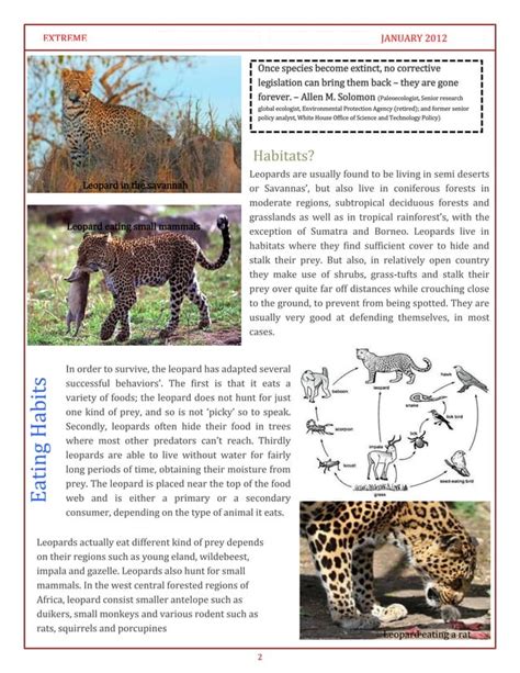 Leopard Project Docx
