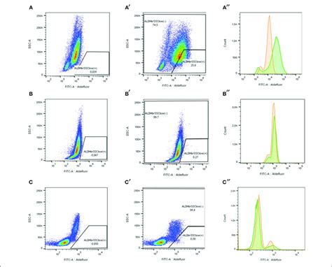 Aldh Pattern Determination According To Aldh Expression In Acute
