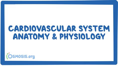 Neurovascular Assessment What Is It Why Its Performed And More Osmosis