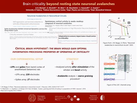 Benedetta Mariani Brain Criticality Beyond Resting State Neuronal